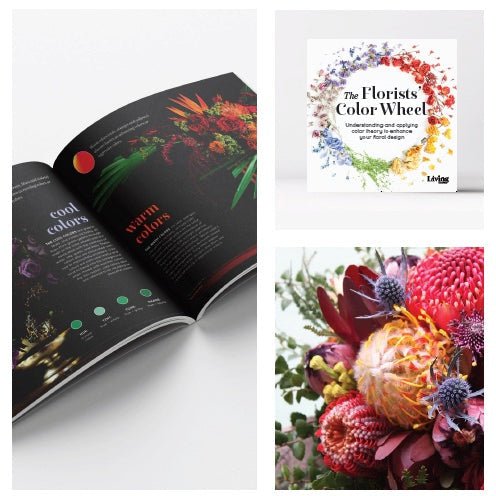 Florists' Color Wheel: A Guide to Floral Design Color Theory – FlowerBox